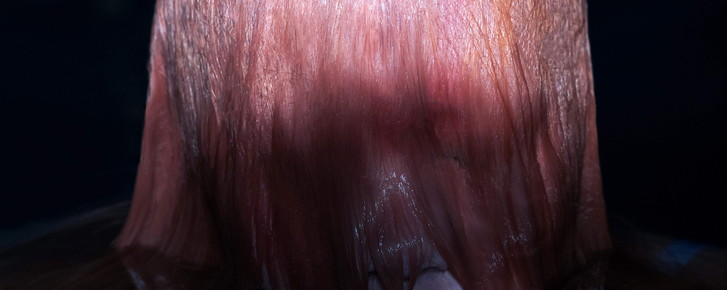 Wisp Tickets, 2024 Concert Tour Dates | Ticketmaster