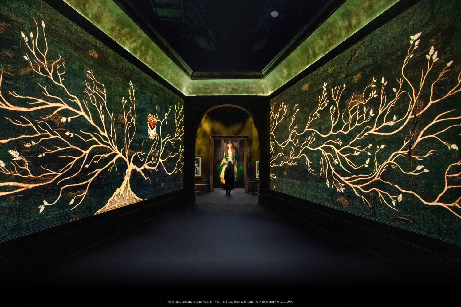 Harry Potter: Visions of Magic