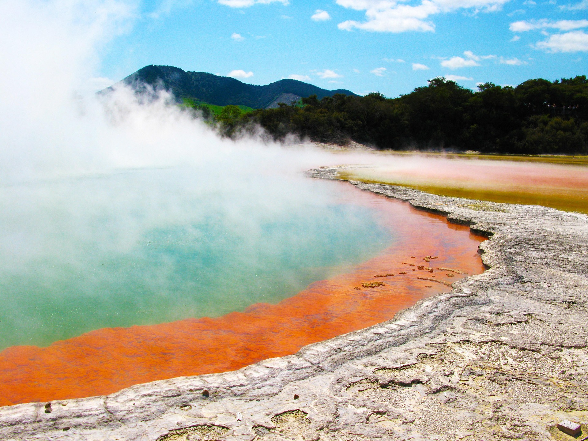 Rotorua Events - Discover Things To Do In Rotorua | Ticketmaster