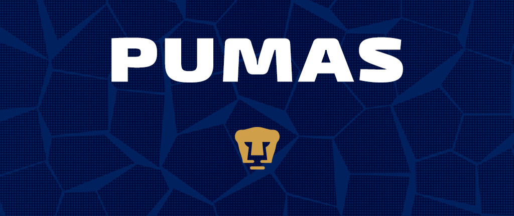 CRUZ AZUL on X: #Boletos Cruz Azul vs Pumas - lucox.cl